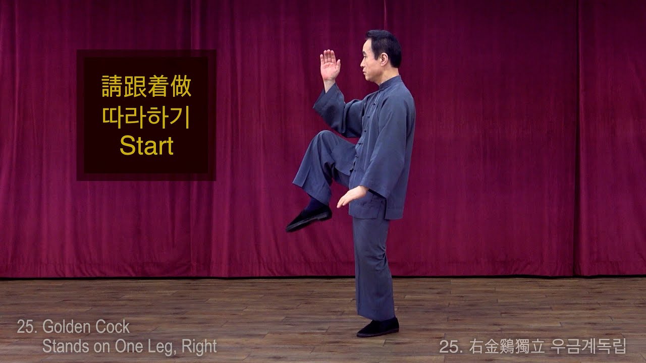 【楊式鄭子太極拳37式】請跟着做(左右反轉)【Cheng Man-Ching Taichi 37 form】 Following(Mirror ...