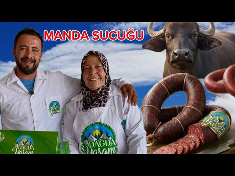 DOMBAY (MANDA) ALDIK, SUCUK YAPIYORUZ! MANDA SUCUĞU / KİMLER DAĞDA YAŞAMAK İSTER / DAĞDAYAŞAM AİLESİ