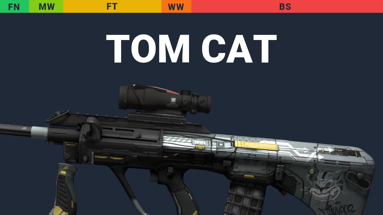 AUG Tom Cat - Skin Float And Wear Preview - YouTube