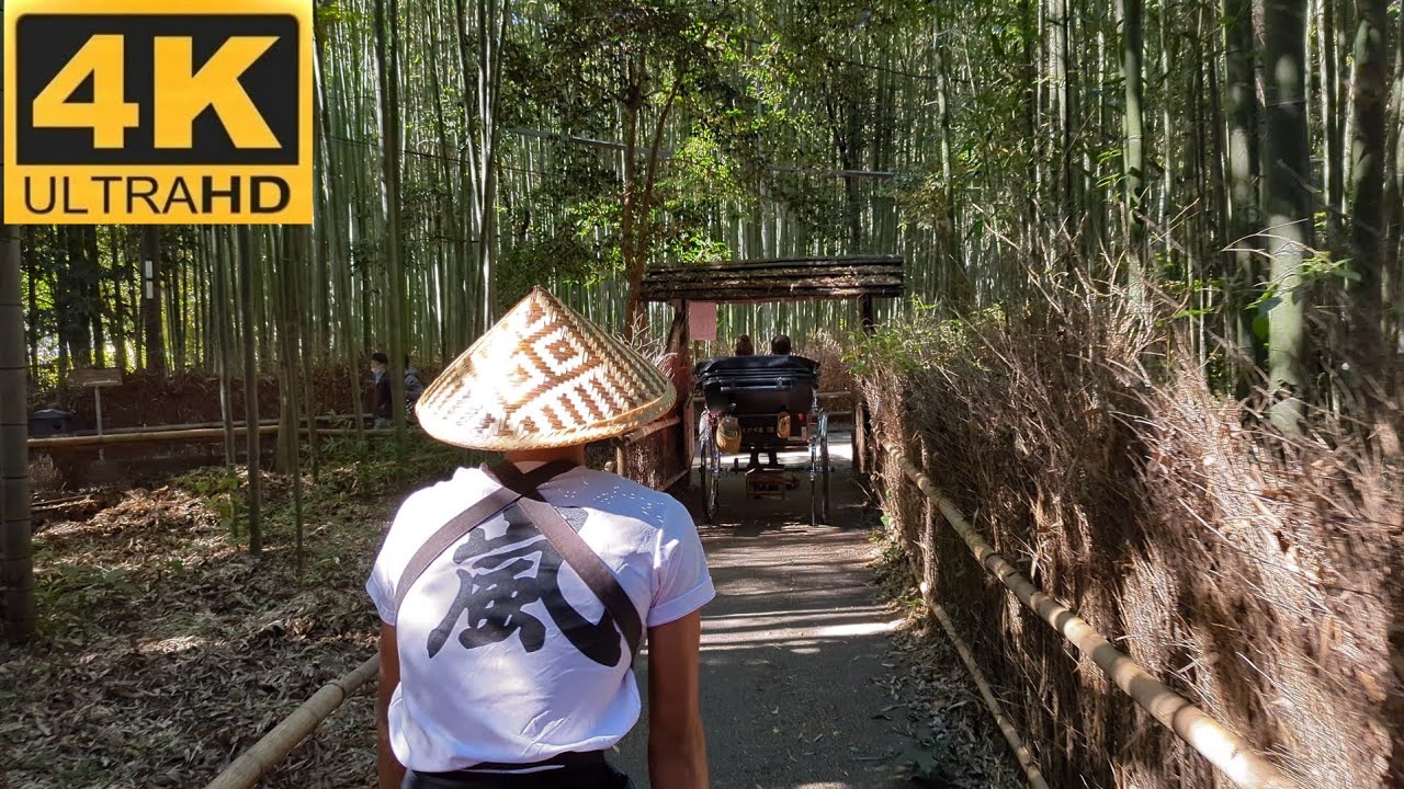 Rickshaw Ride Through Arashiyama Bamboo Forest in Kyoto Japan [4K ...
