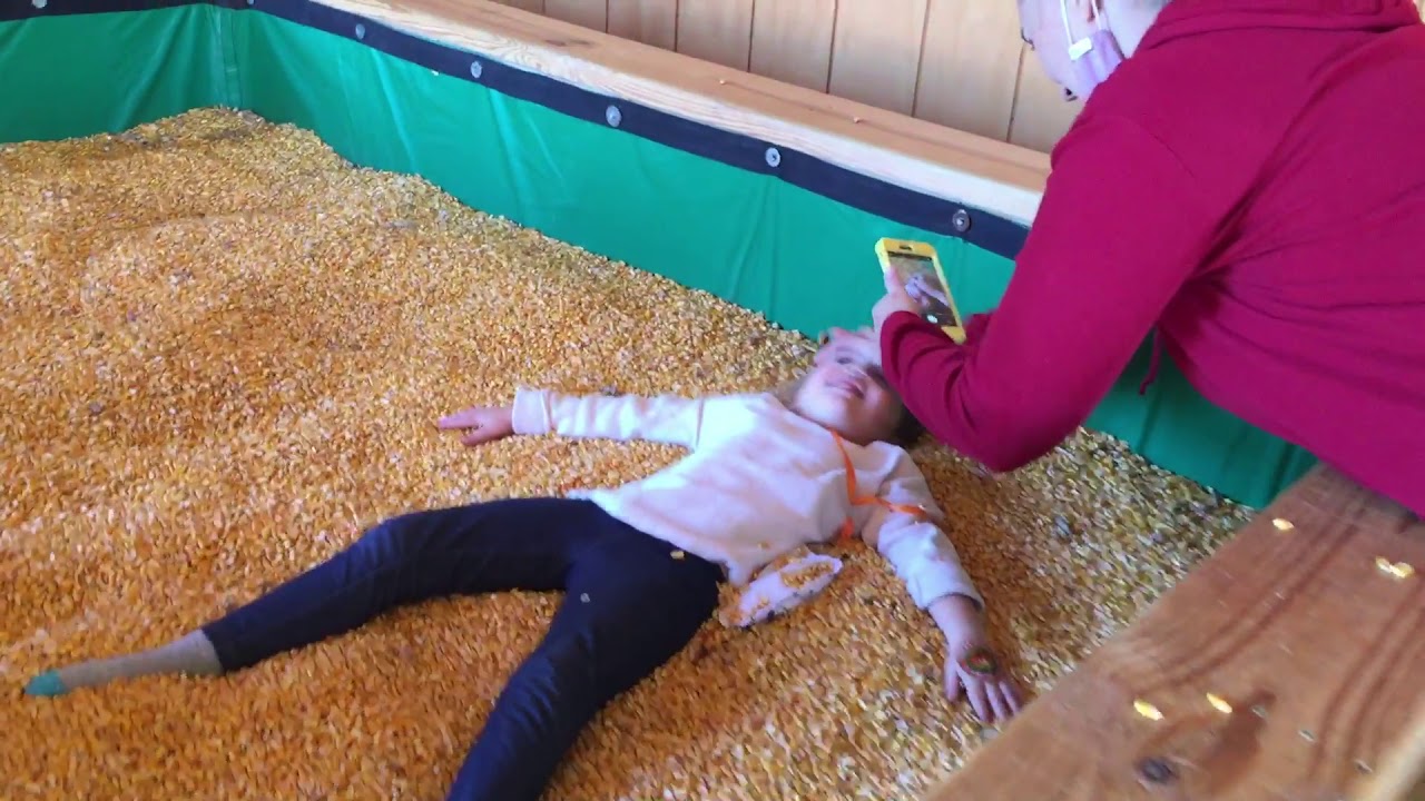 Corn pit at Tate Farms - YouTube