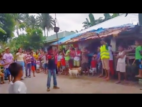 BASAG PALAYOK / SIKAT NA PALARO SA PROBINSYA - YouTube