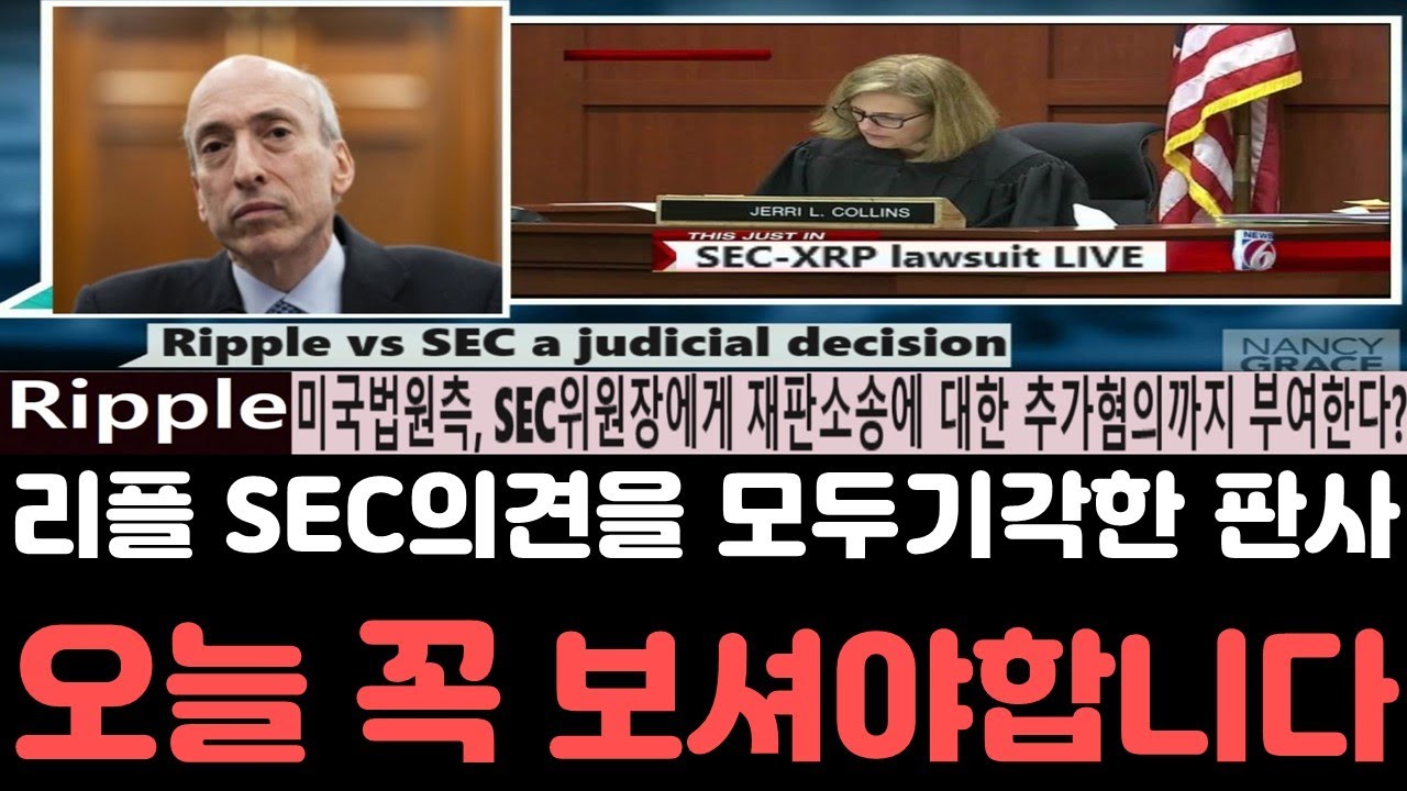 리플전망 리플 미국법원측 Sec의견을 모두 기각하며 판사가 내린 결정에 당황한sec오늘 영상은 꼭 보셔야합니다 리플전망 리플호재 리플급등 리플코인 리플소송