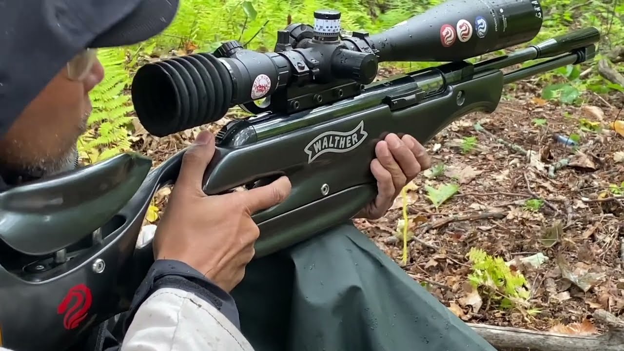 Anatomy of an air rifle field target shot - YouTube