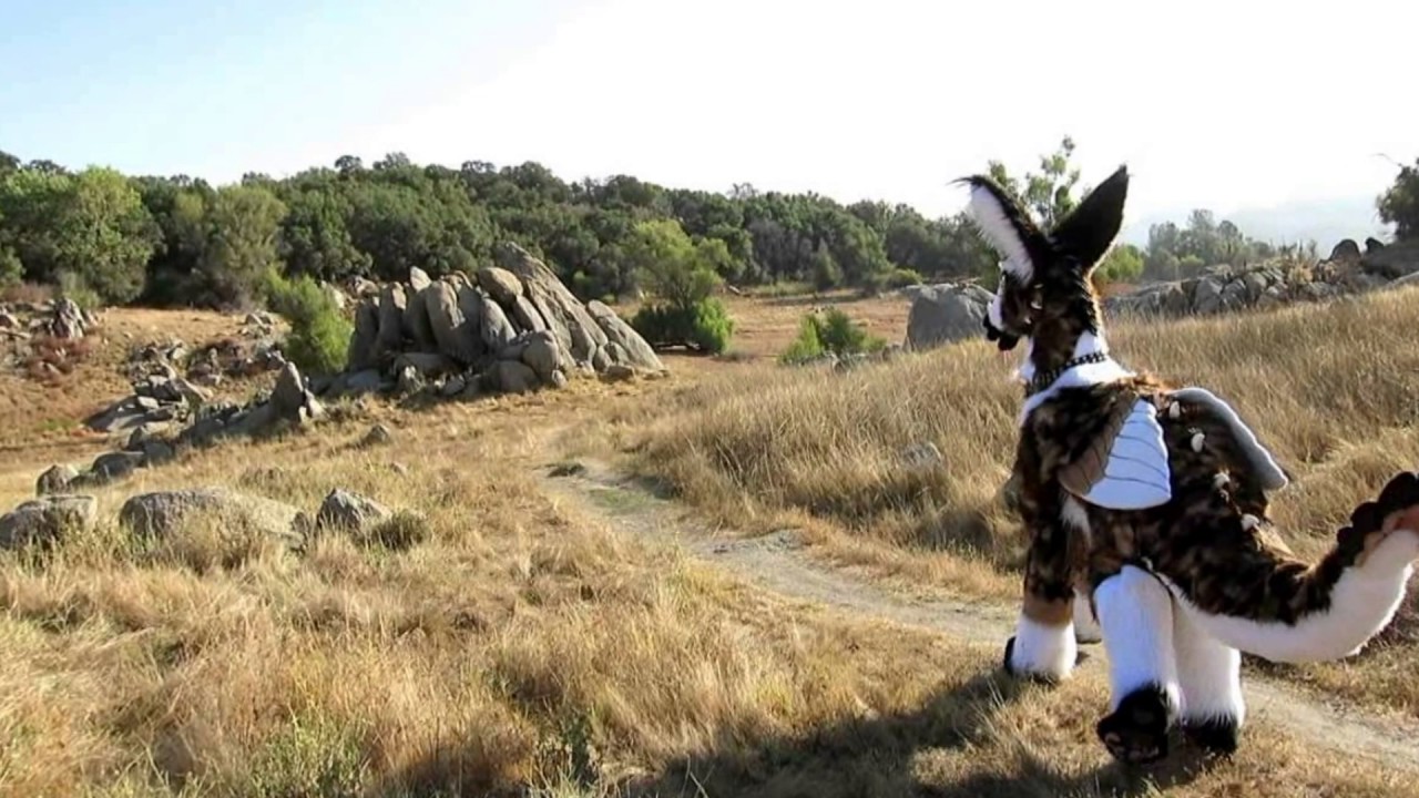 Best Fursuits Ever! - YouTube