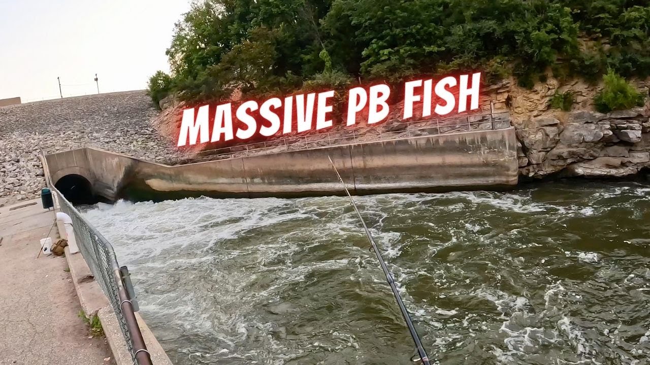 A Massive PB Fish Was Swimming In This Spillway (Summer Spillway ...