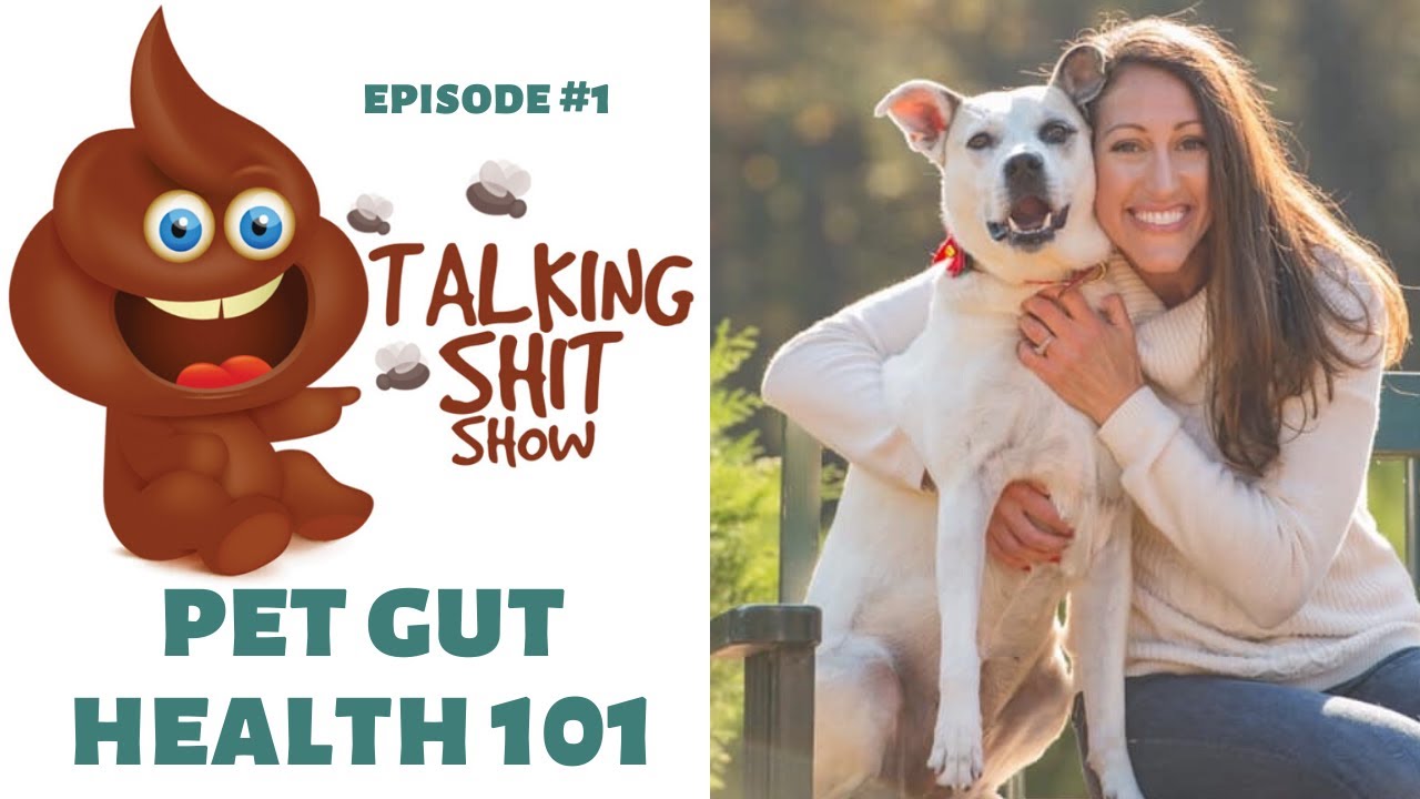 Must Watch If You Own a Pet and Love Your Fur Baby | Gut Healing 101 ...