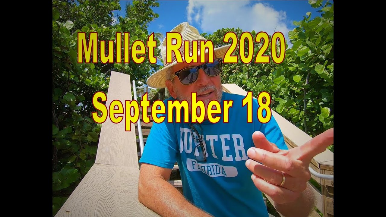 Mullet Run 2020 Sept. 18 Update - YouTube