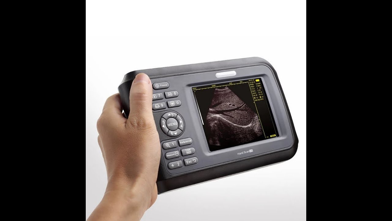 Handheld Ultrasound scanner for cow dog sheep veterinary ultrasound ...