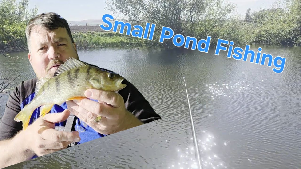 Wynn's Pond Fishing Rhyl - YouTube