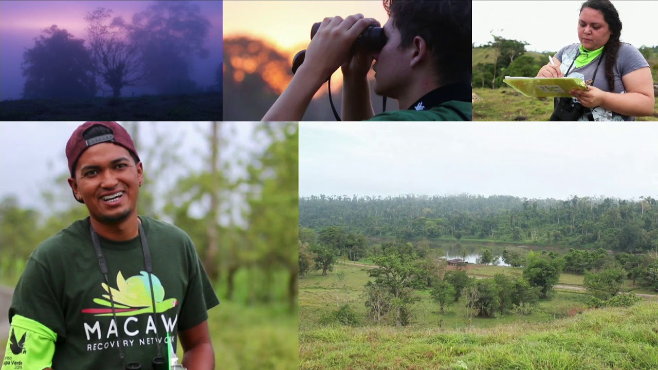 WCN Spring Expo 2019 - Dr. Sam Williams, Macaw Recovery Network - YouTube