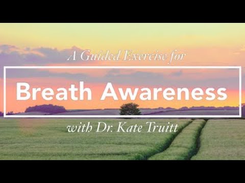 An Self-Havening Exercise for Breath Awareness with Dr. Kate Truitt