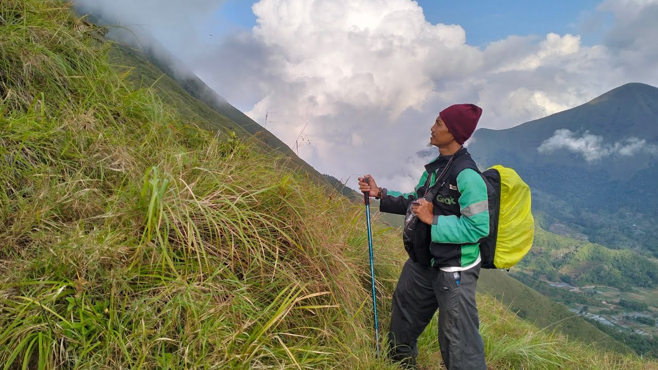 LAPAK IKAN PREDATOR DAN HIAS PASAR PARUNG BOGOR - YouTube
