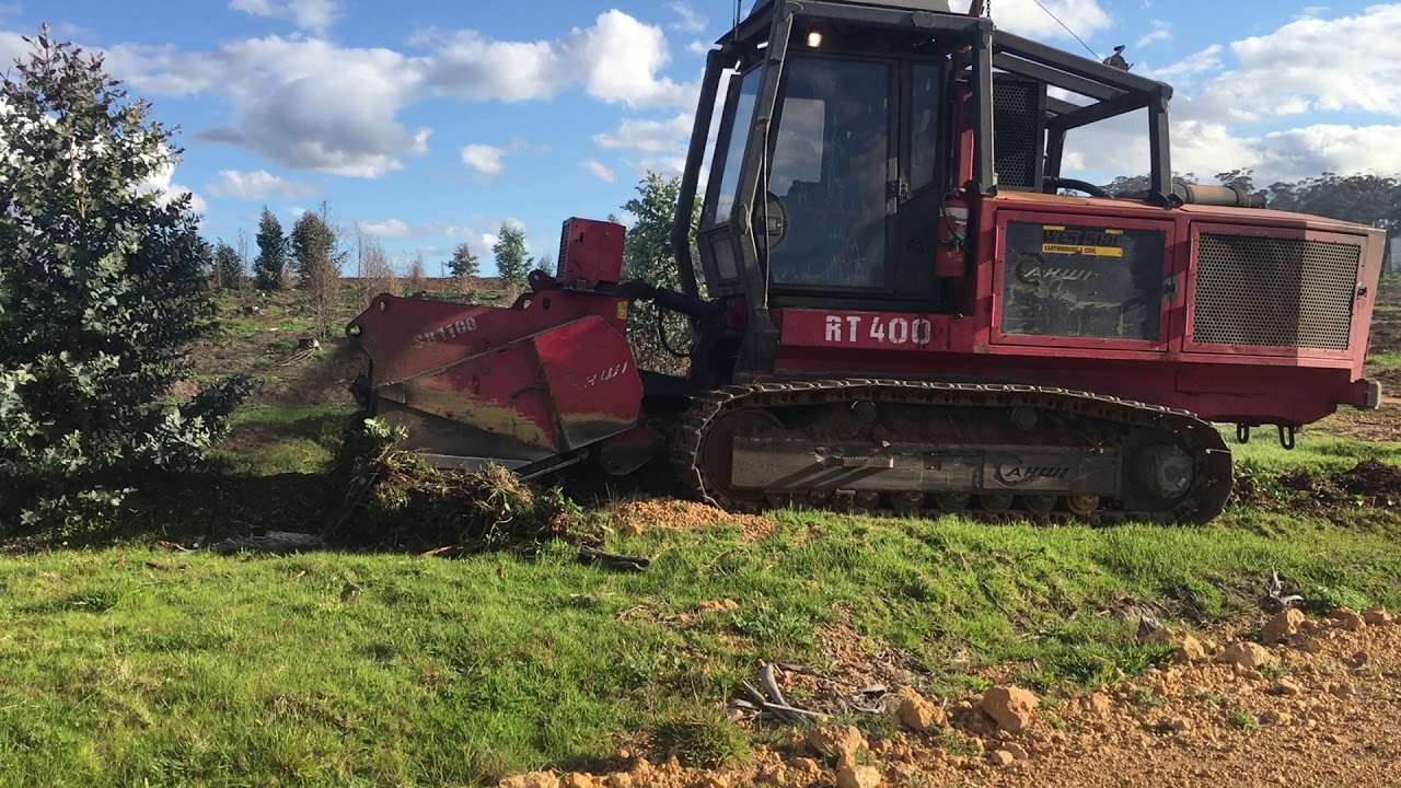 grinding blue gum stumps AHWI RT400 westside - YouTube