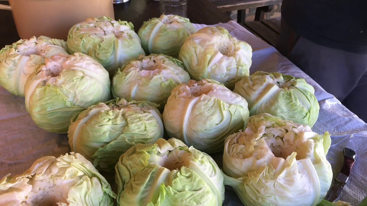 Kiseli kupus / ribanac i kiseli kupus u glavicama / recept. Kako ...