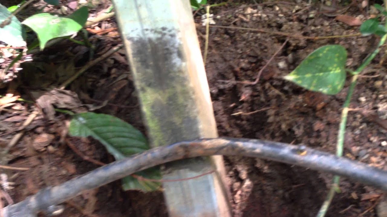 Protecting steel posts from corrosion - YouTube
