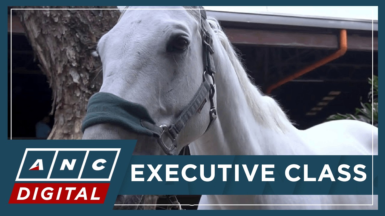 Executive Class: Gallop into the Year of the Fire Horse with strength ...