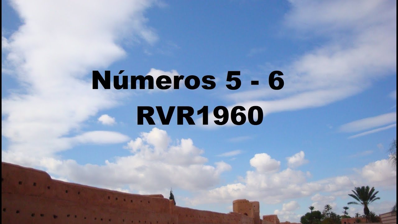 Numeros 5 - 6 - YouTube