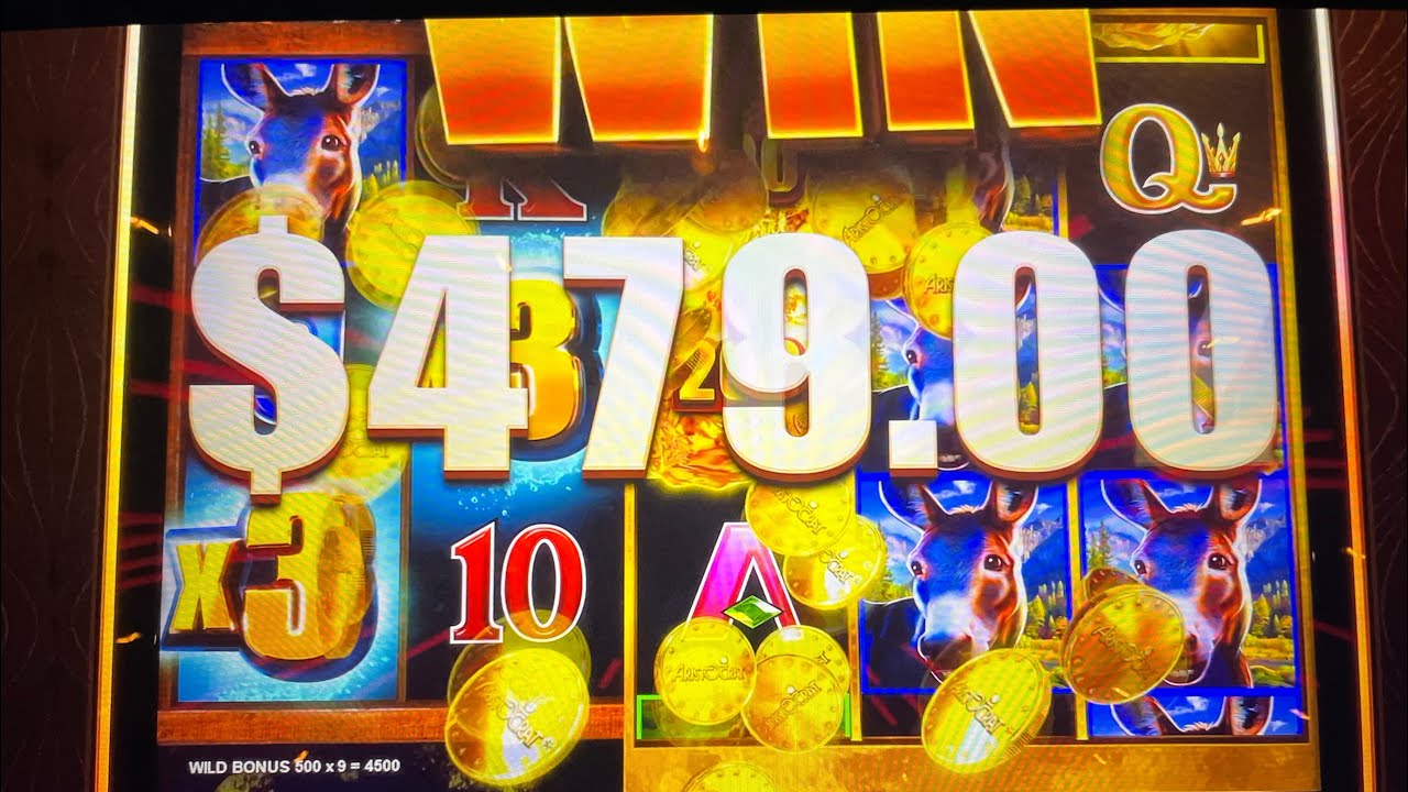 Wild Wild Nugget: Triple Bonus Win ($10 bet) - YouTube