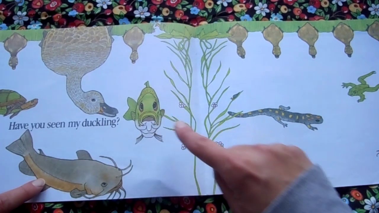 Have You Seen My Duckling? by Nancy Tafuri - YouTube