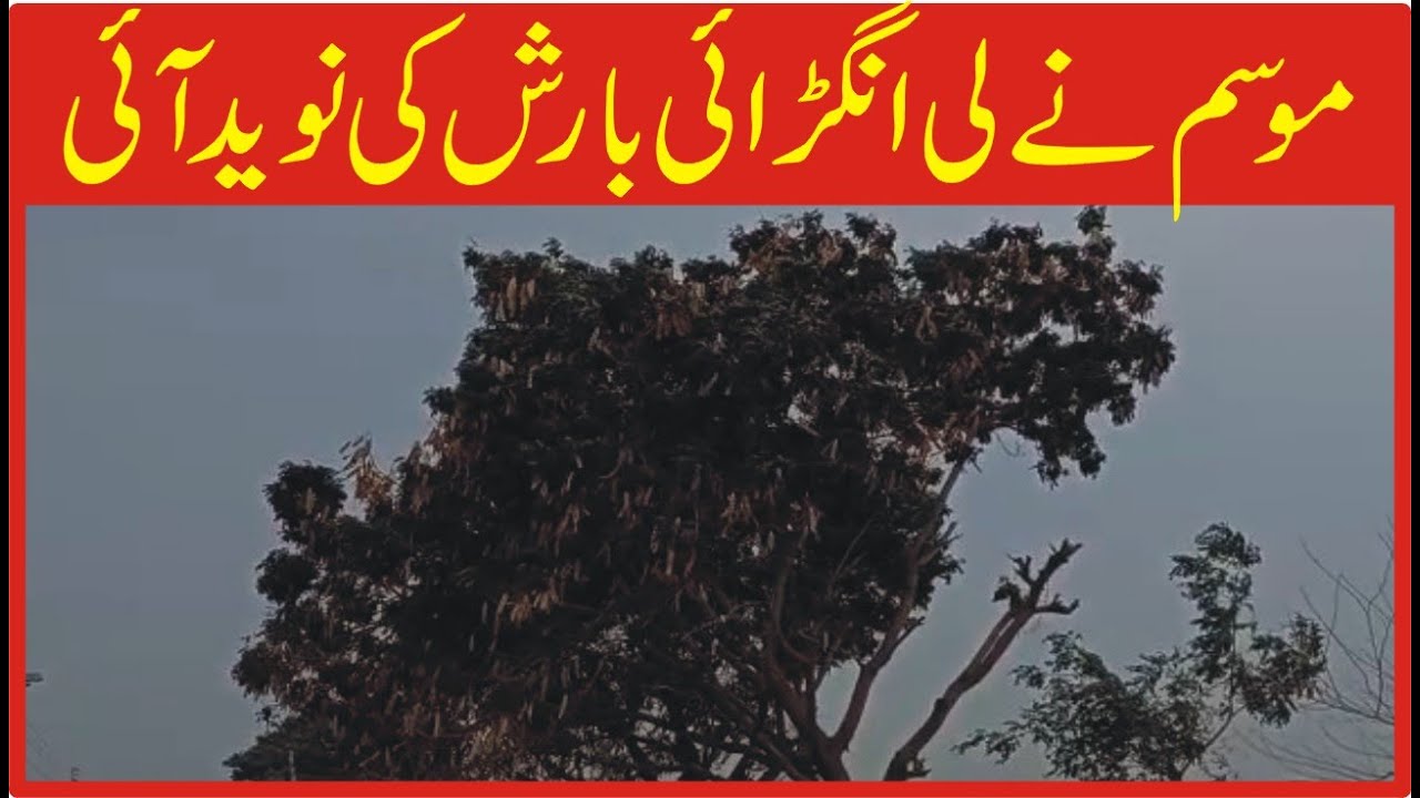 VOICE TODAY BREAKING| Weather In Layyah| Wind Storm| - YouTube