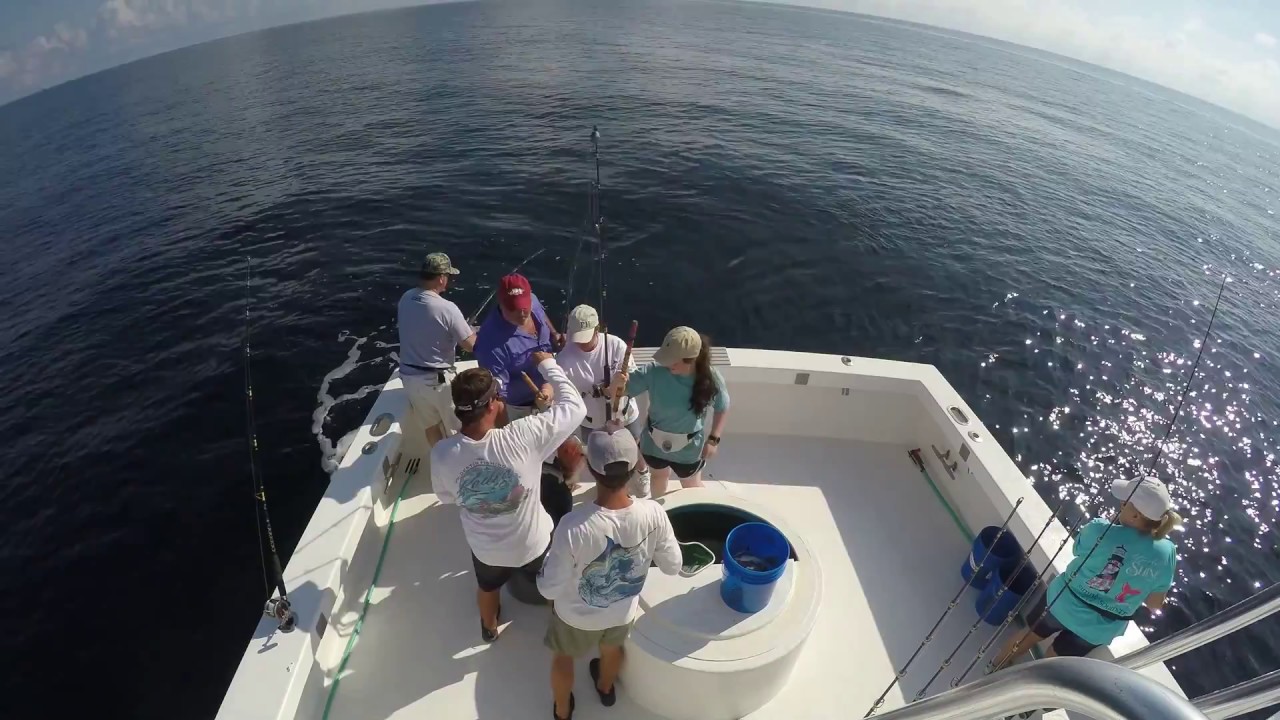 Catching big Red Snapper on the charter boat PHOENIX - YouTube
