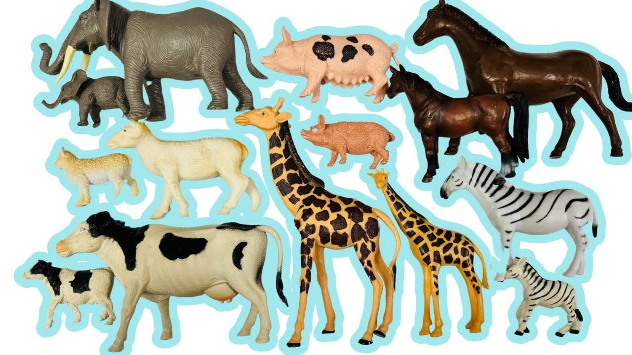 Learn Animal Names and facts, Sea Animals for kids, Sea Animals, Zoo ...