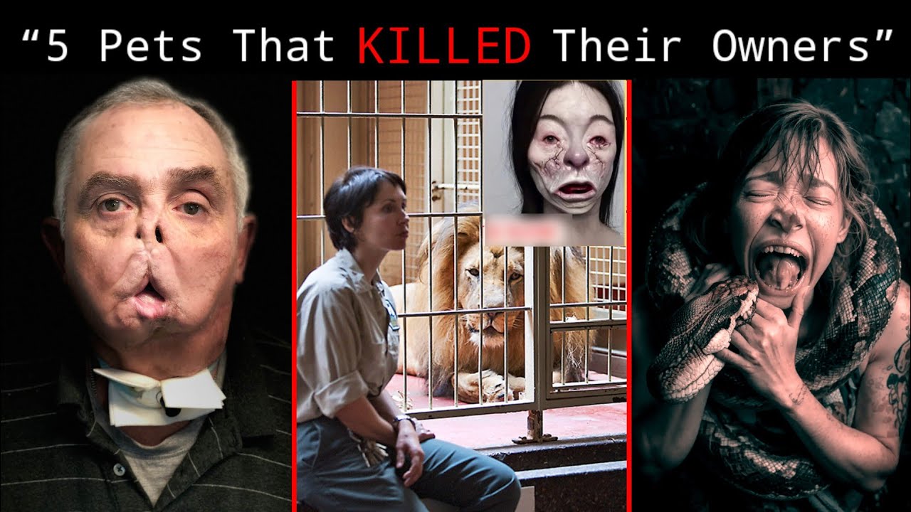 5 PET ATTACKS That Shocked The WORLD — When Beloved Animals Suddenly ...