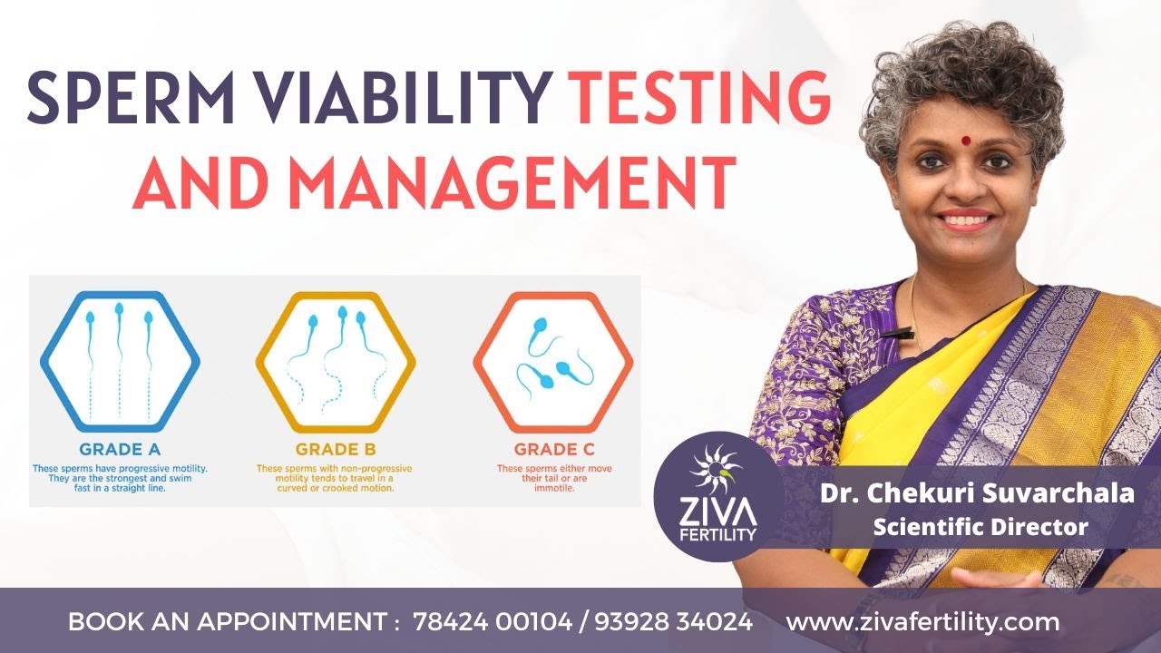 Sperm Viability Test And Management || Male Infertility || Dr Chekuri ...