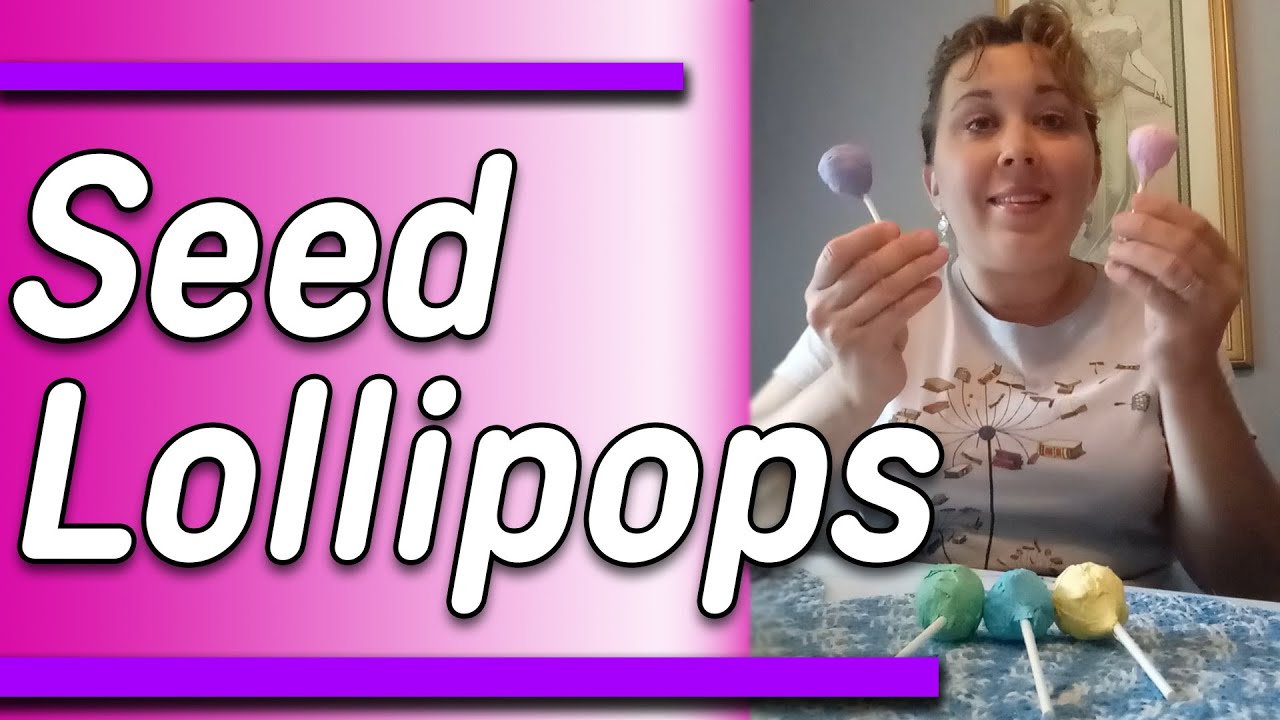 Seed Lollipops - YouTube