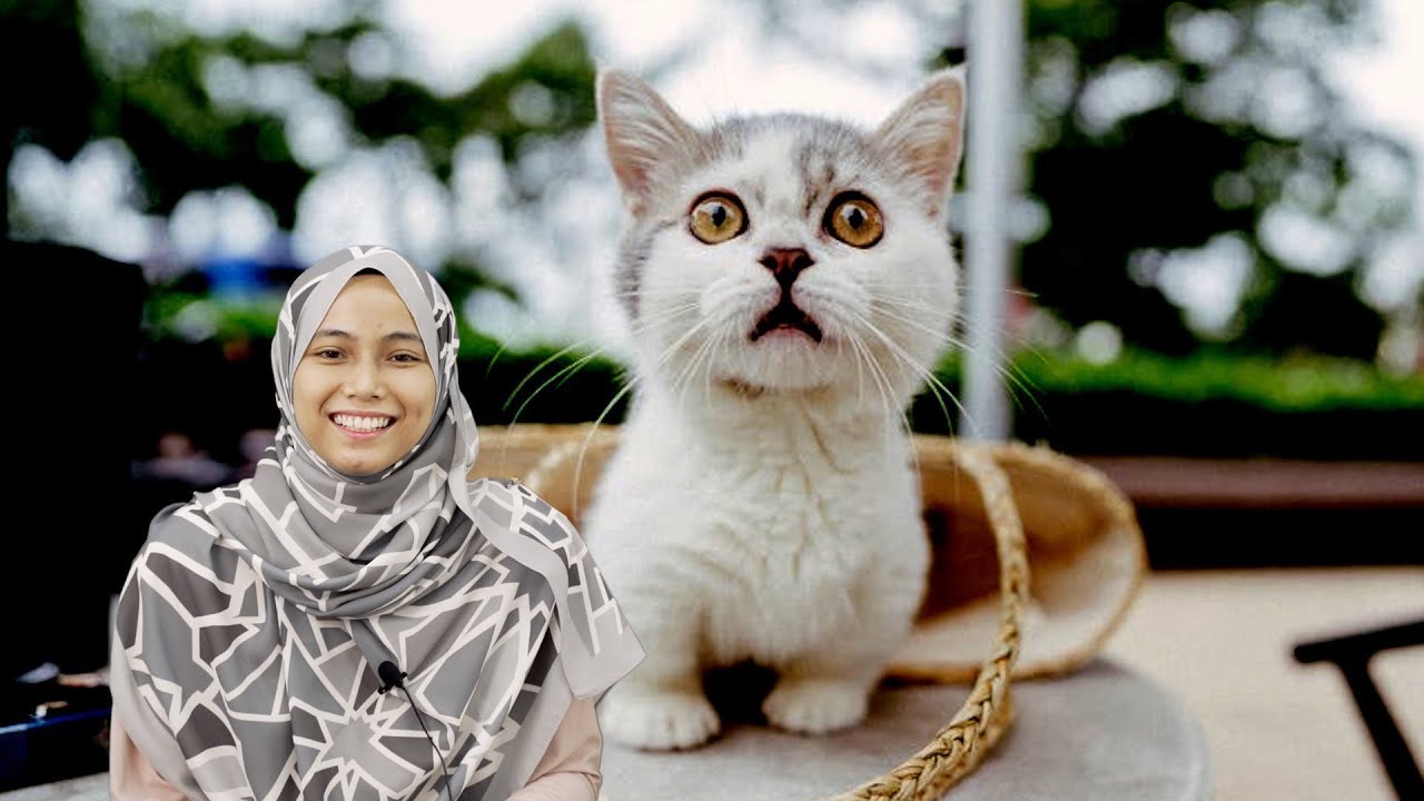 Sejarah dan Kontroversi Munchkin - YouTube