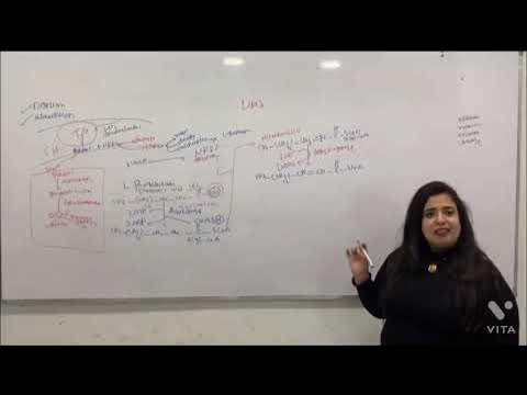 lec 1 part 2 تالتة جينيرال bio-2 - YouTube
