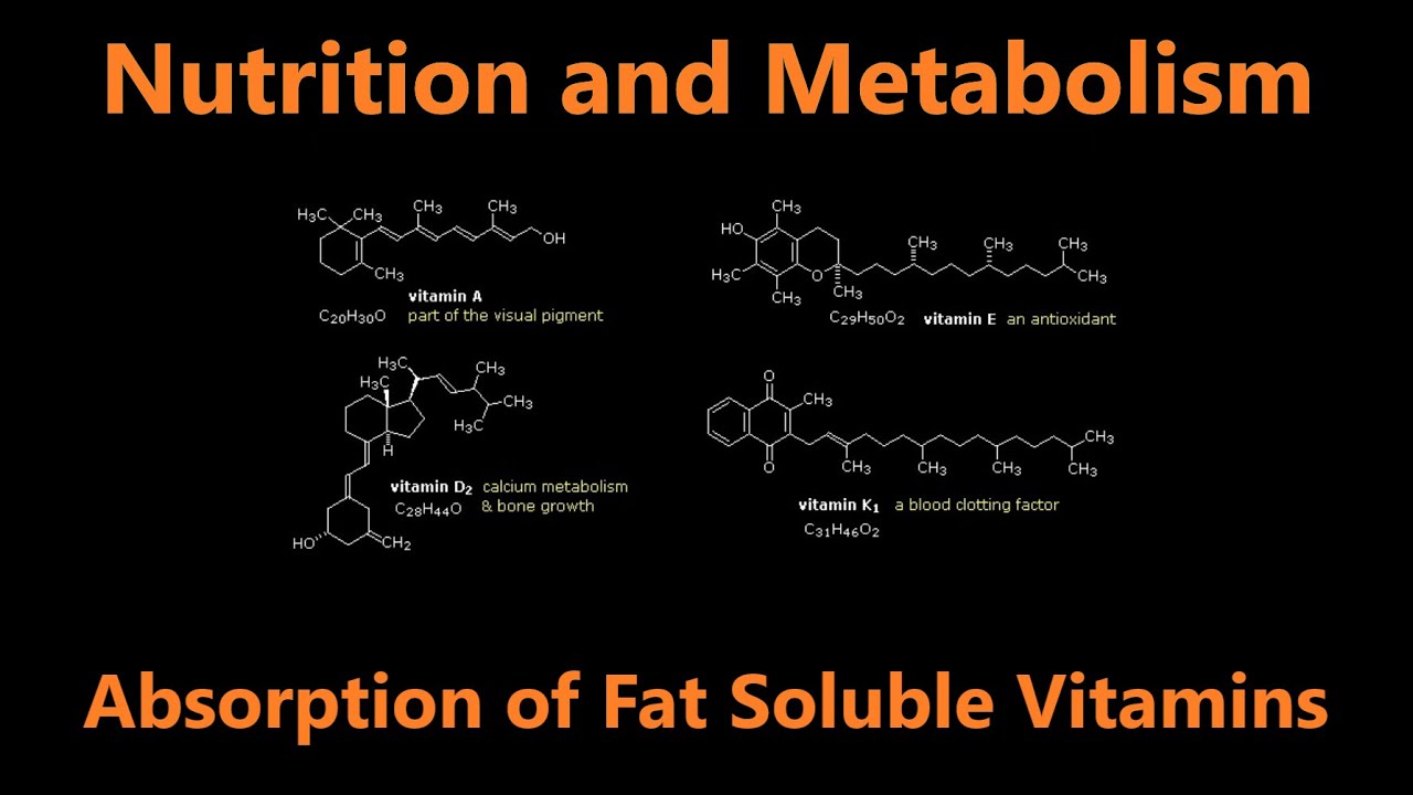 Absorption of Fat Soluble Vitamins | Vitamin Absorption - YouTube