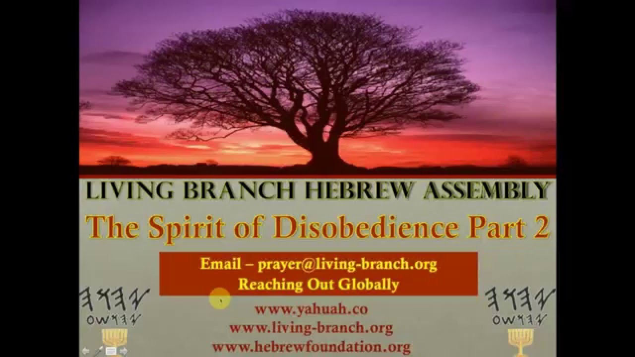 1-2-2016 The Ruach (Spirit) of Disobedience Part 2 (Examples) - YouTube