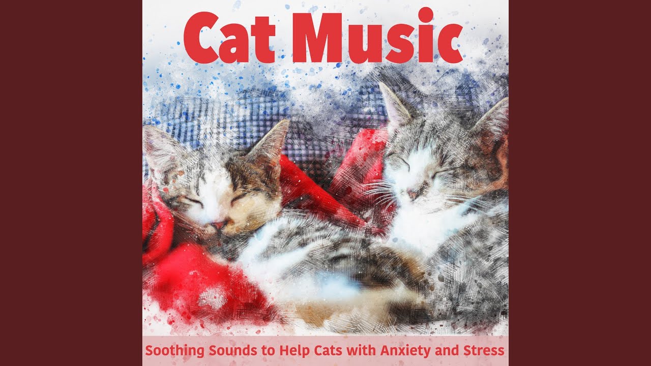 The Cat Song - YouTube