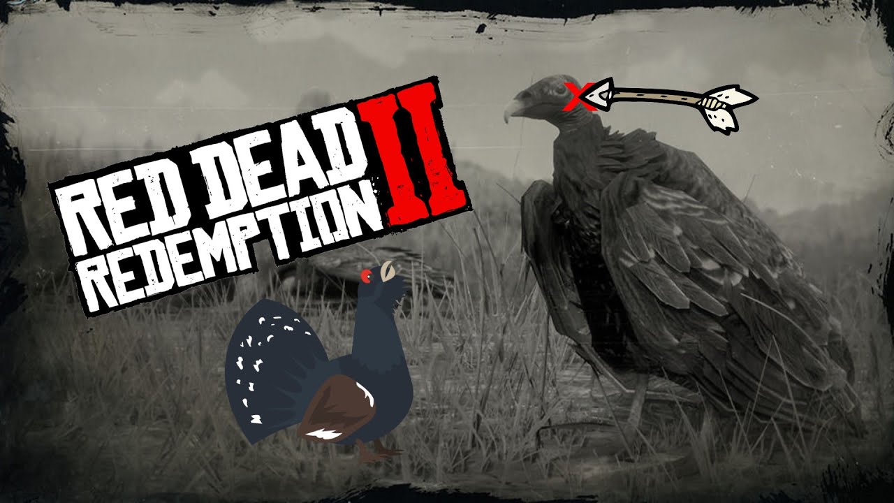 Red Dead Redemption 2 Animal's: Eastern Turkey Vulture / Östlicher ...