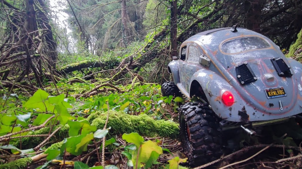 THE ENCHANTED FOREST REDCAT GEN 7 CUSTOM - YouTube