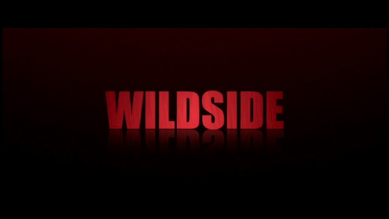 Palace Films/IntraMovies/Wildside/Rai Cinema logos (2015) - YouTube