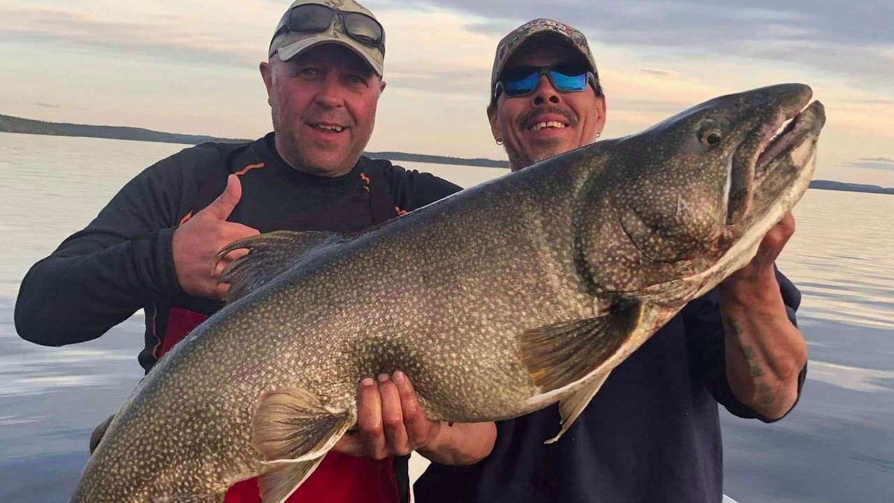 Tazin TV 2019 - Episode 4: Good Summer So Far - YouTube