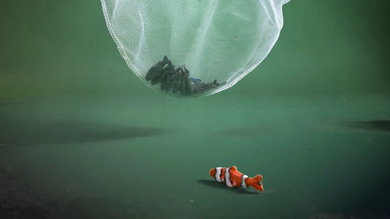 Finding Nemo 2.0 fishnet playmobil - YouTube