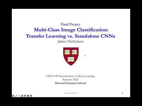 Multi-Class Image Classification: Transfer Learning vs. Standalone CNNs ...