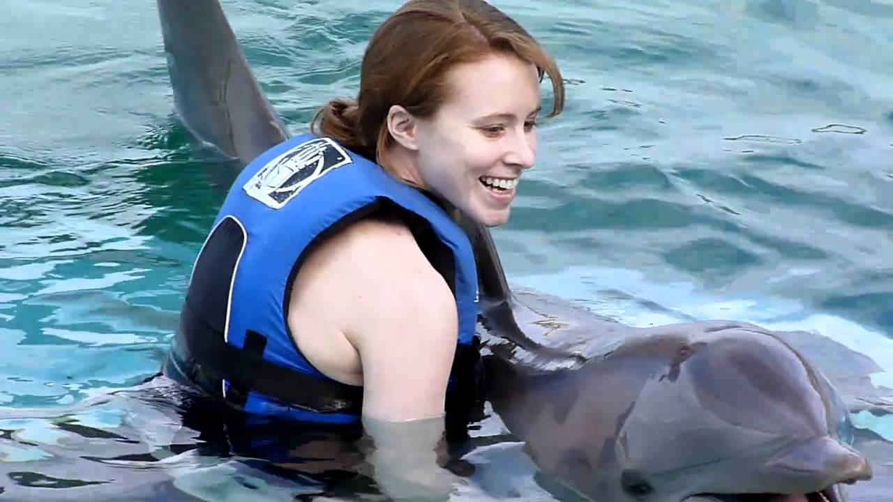 Dolphin Hug 2 - YouTube