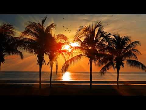Riddim guardian angel MIX - YouTube