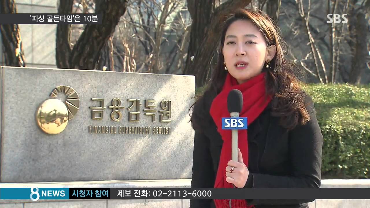 [경제] "교묘해지는 피싱 사기, 10분 안에 신고해야" (SBS8뉴스|2015.03.23) - YouTube
