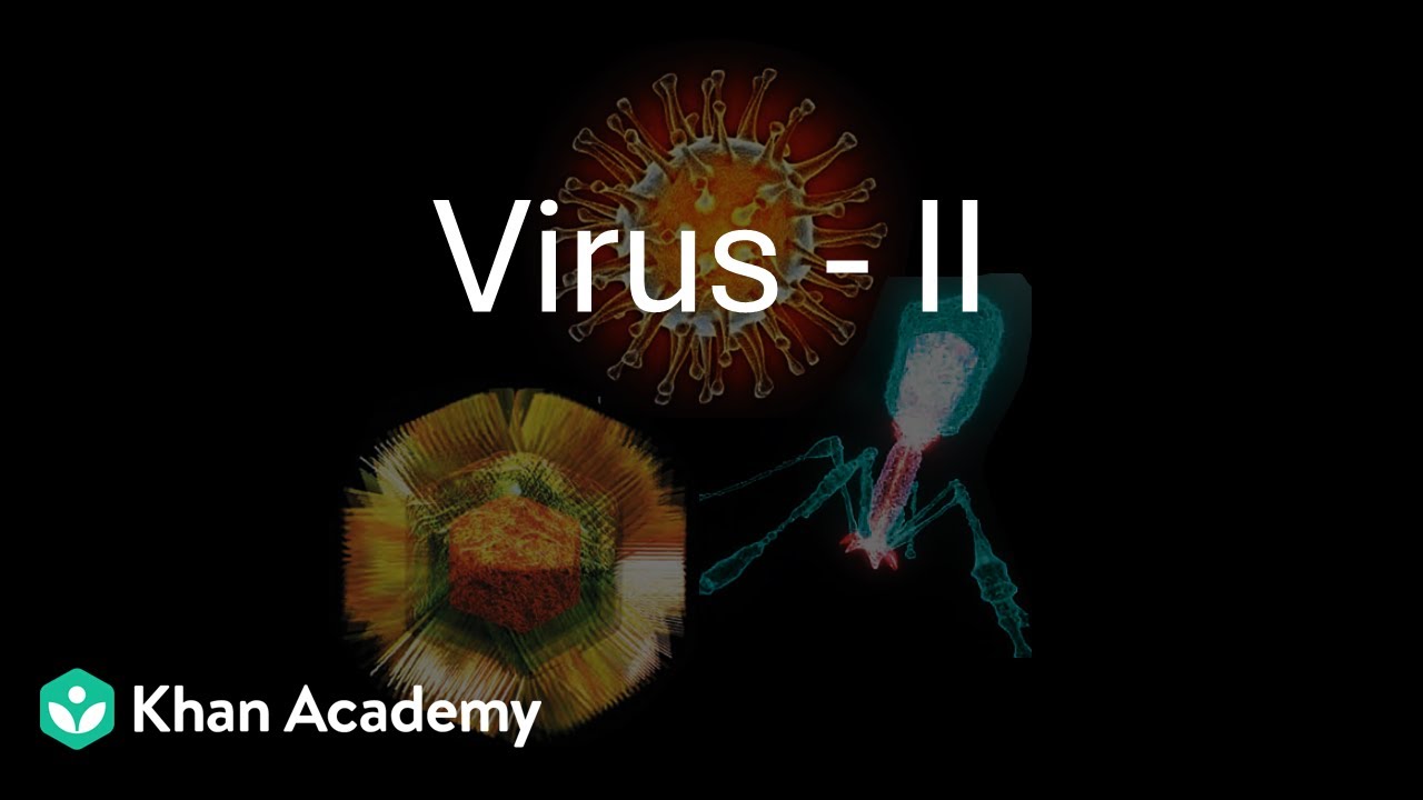 Virus - Part 2 | | Grade | Subject | Khan Academy - YouTube