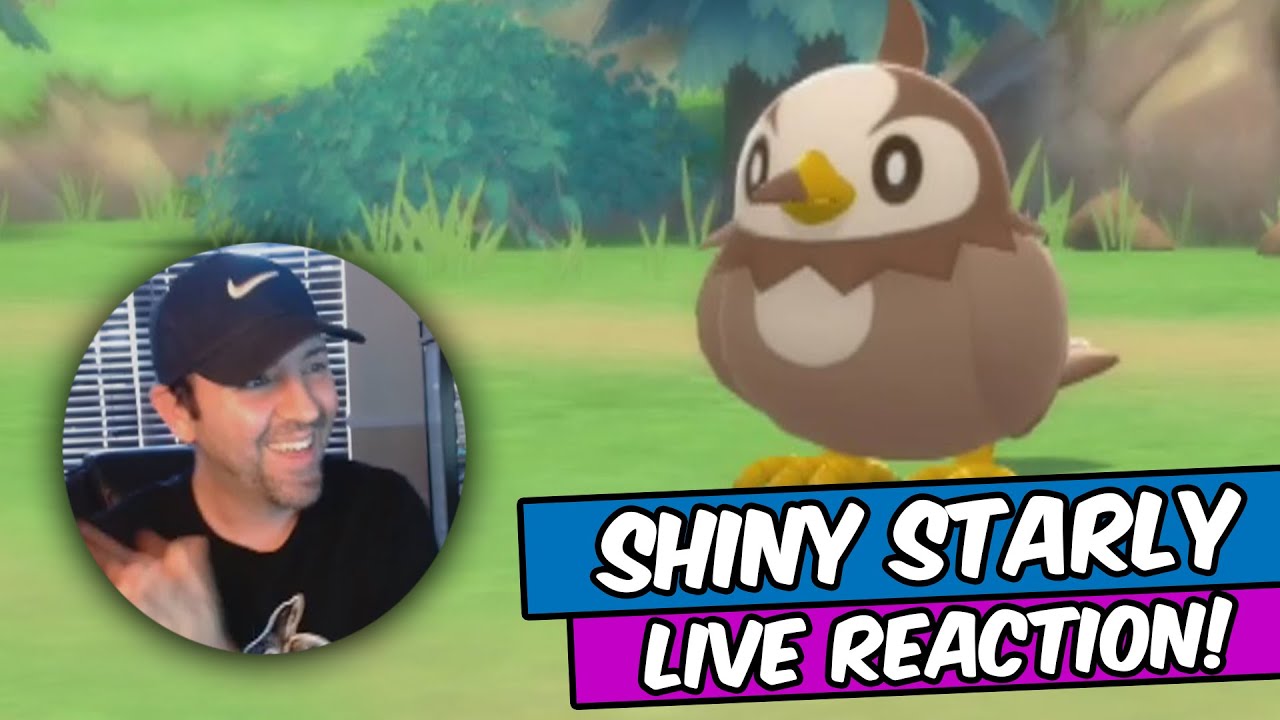 This Shiny Starly Is Catchable!! 4571 Encounters! // Pokémon Brilliant ...