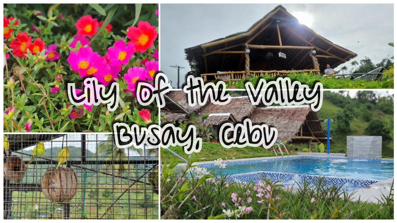 Lily of the Valley, Busay, Cebu - YouTube
