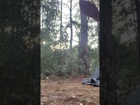 Doing gymnastics near our house ￼