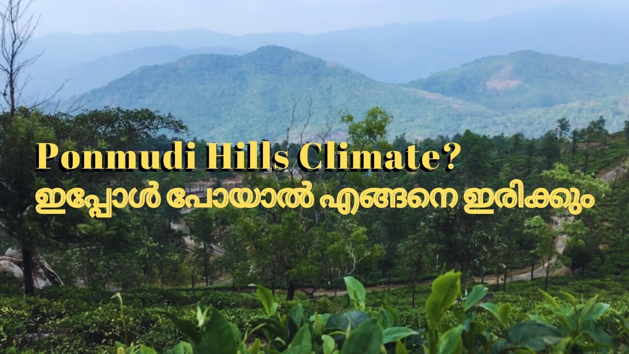 Current climate of Ponmudi hill station Trivandrum kerala - YouTube