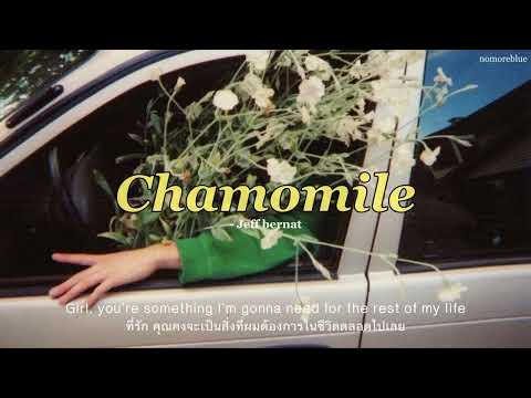 Jeff Bernat _ Chamomile (thaisub) - YouTube